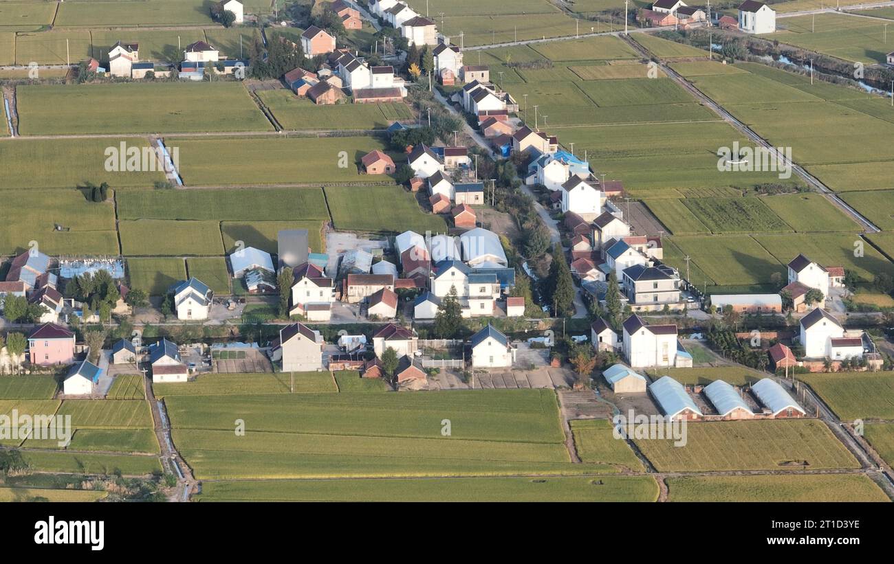 Aerial photo shows the large paddy fields in Fengli Town, Rudong County ...