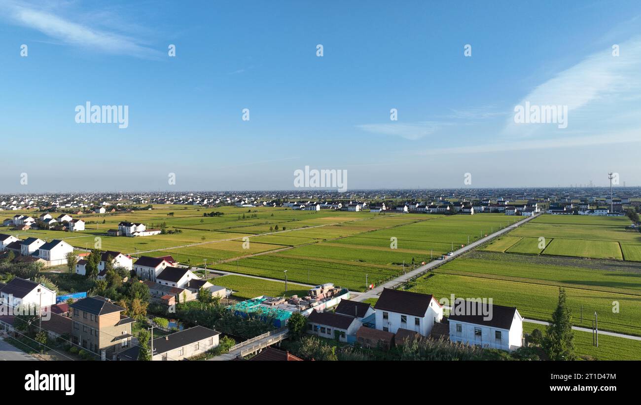 Aerial photo shows the large paddy fields in Fengli Town, Rudong County ...