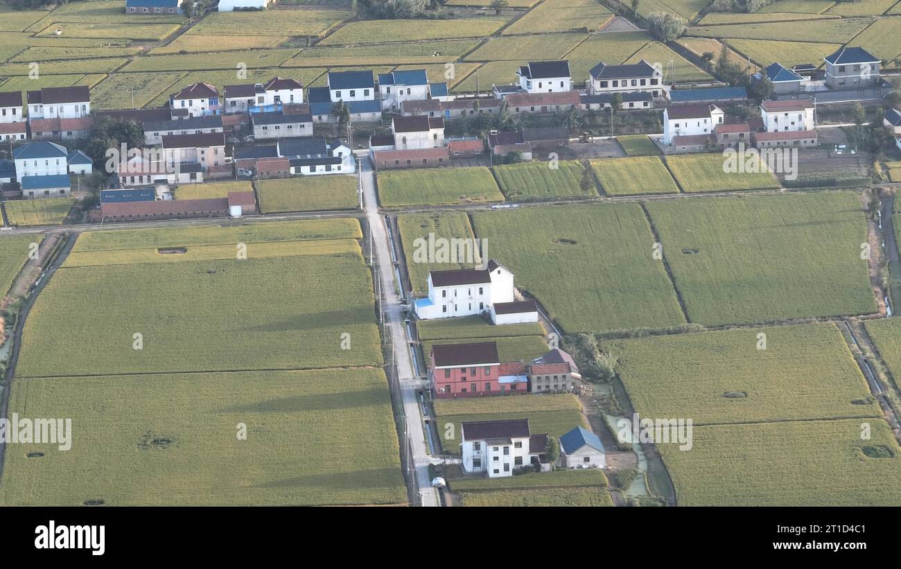 Aerial photo shows the large paddy fields in Fengli Town, Rudong County ...