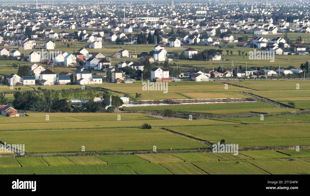 Aerial photo shows the large paddy fields in Fengli Town, Rudong County ...