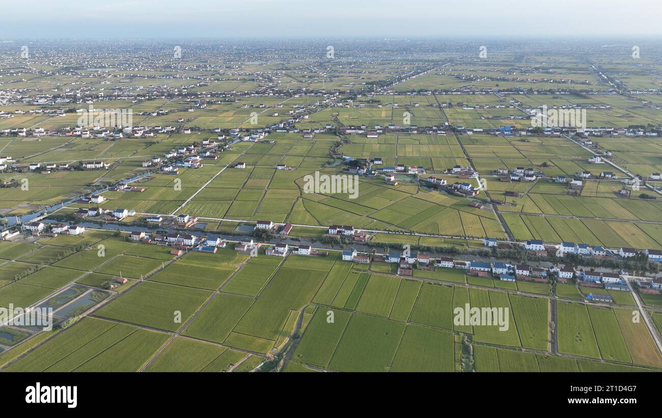 Aerial photo shows the large paddy fields in Fengli Town, Rudong County ...