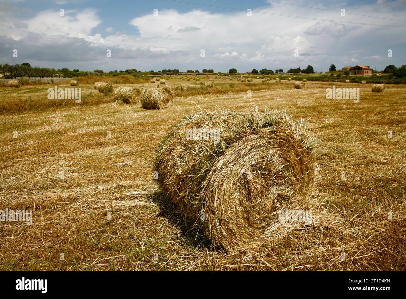 Rolled crop stacks hi-res stock photography and images - Alamy