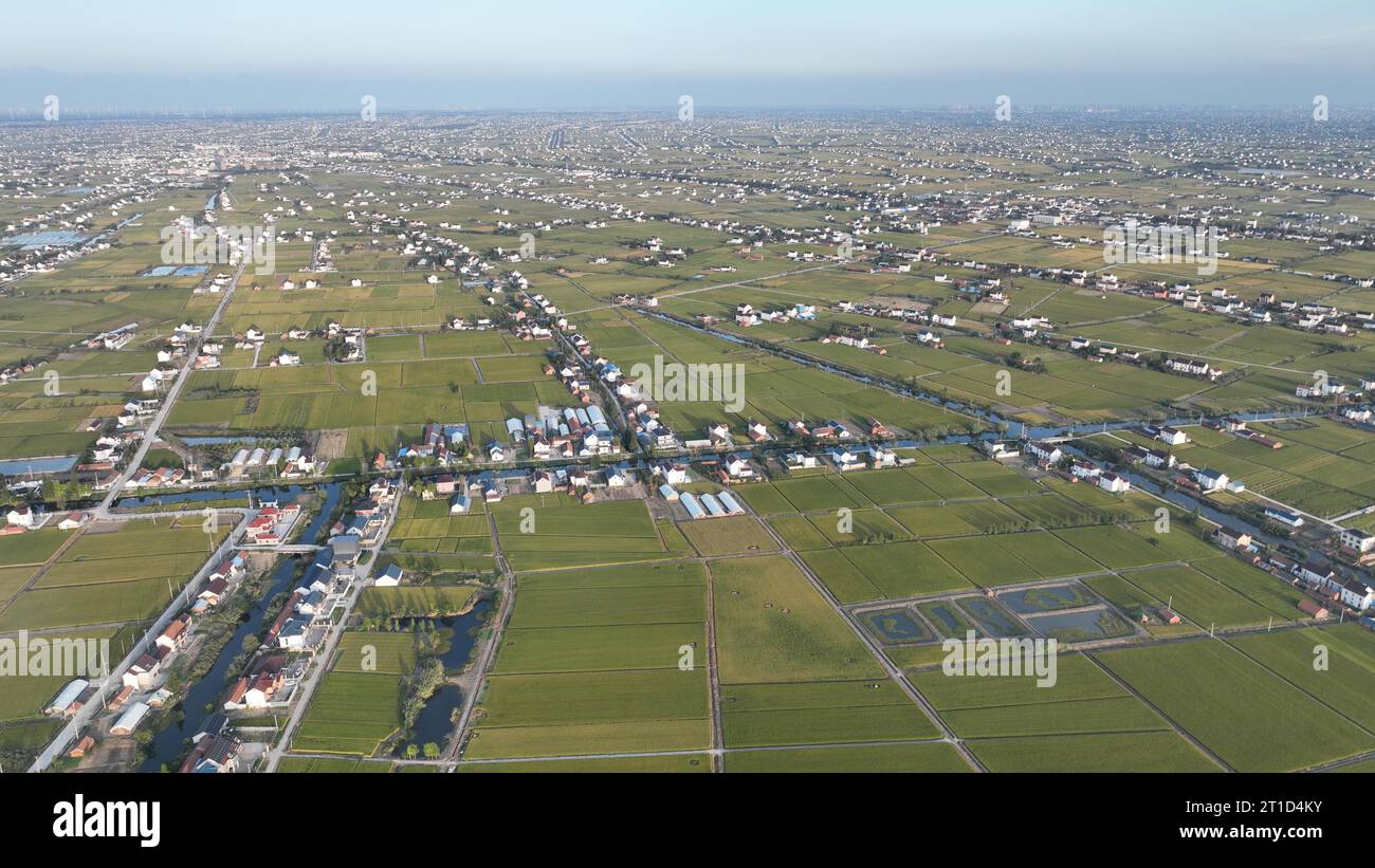 Aerial photo shows the large paddy fields in Fengli Town, Rudong County ...