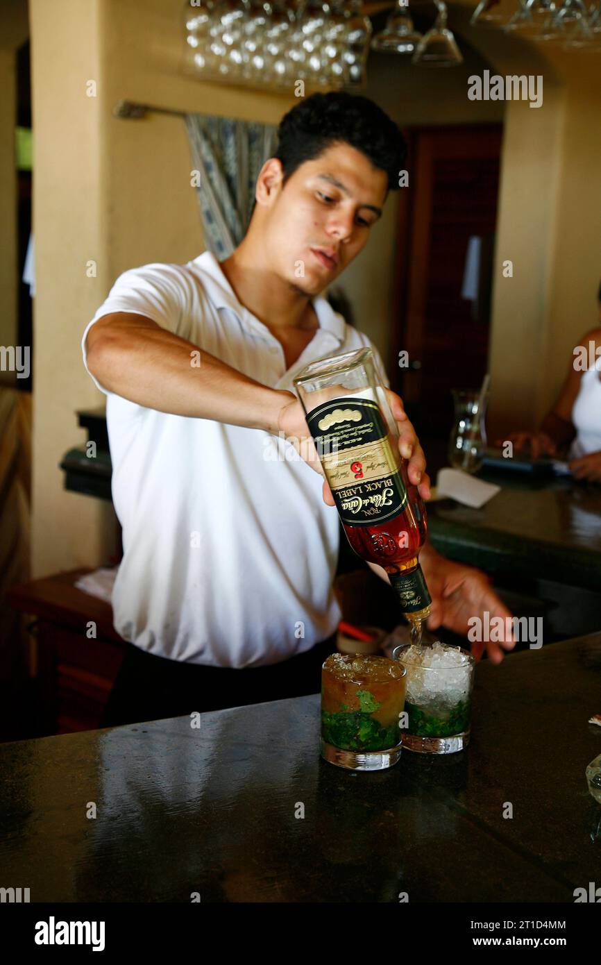 Bar man making Mojito at the Flora Blanca hotel, Santa Teresa, Nicoya ...