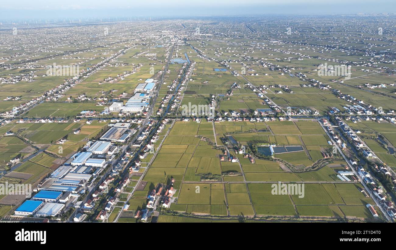 Aerial photo shows the large paddy fields in Fengli Town, Rudong County ...