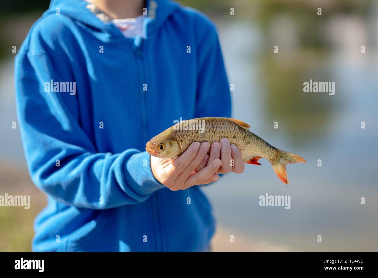 Child carp hi-res stock photography and images - Alamy