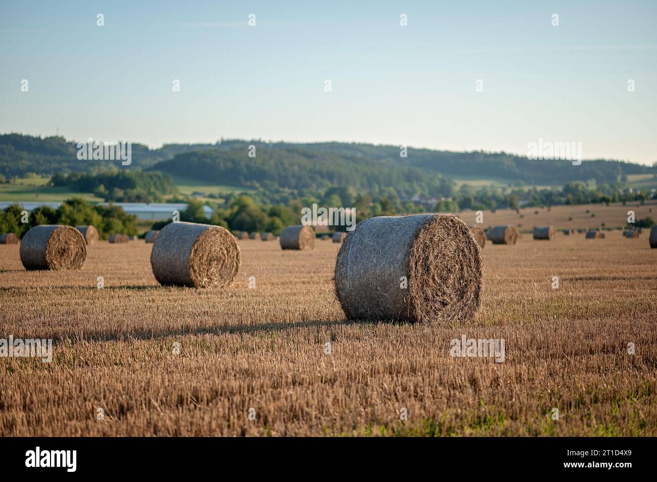 Sunny hay bales hi-res stock photography and images - Alamy