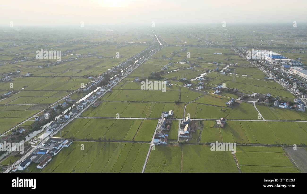 Aerial photo shows the large paddy fields in Fengli Town, Rudong County ...