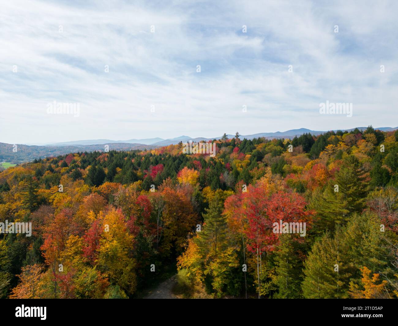 Shady fall trees hi-res stock photography and images - Alamy