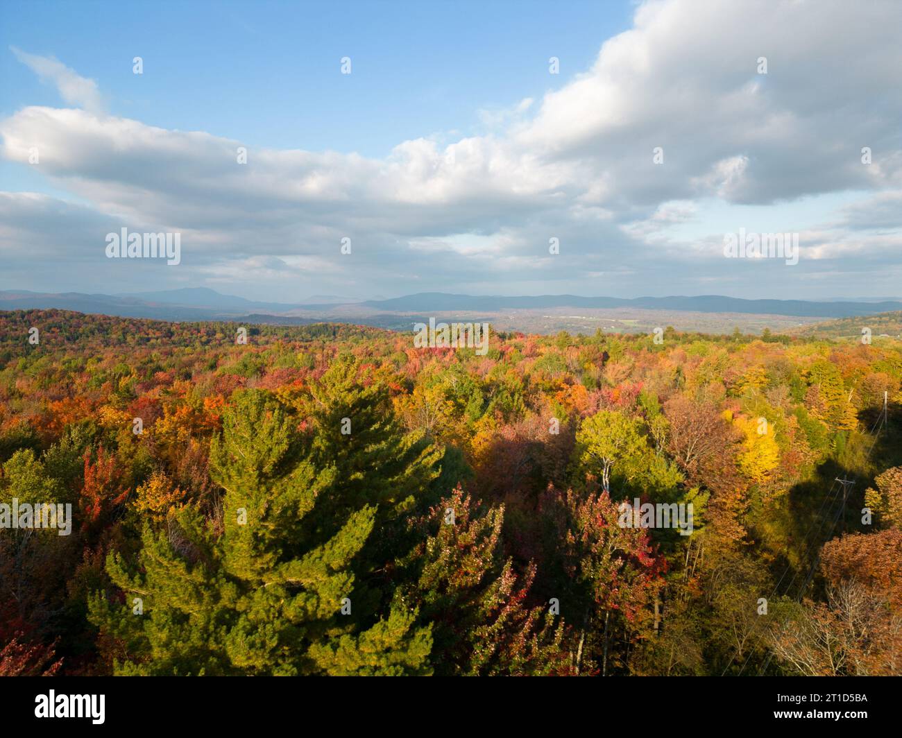 Tree line in Vermont with moutains in distance Stock Photo - Alamy