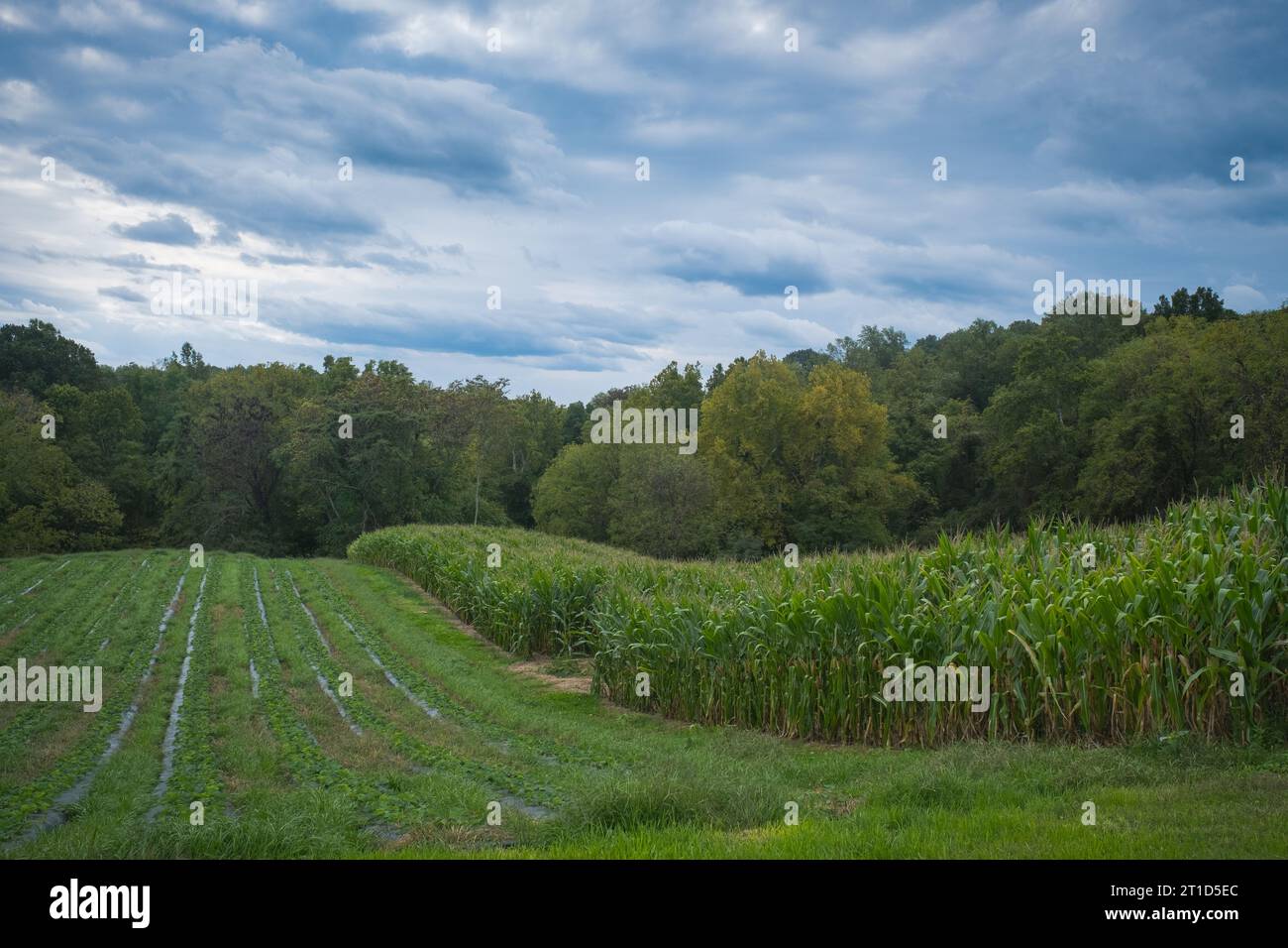 Cloudy fall day hi-res stock photography and images - Alamy
