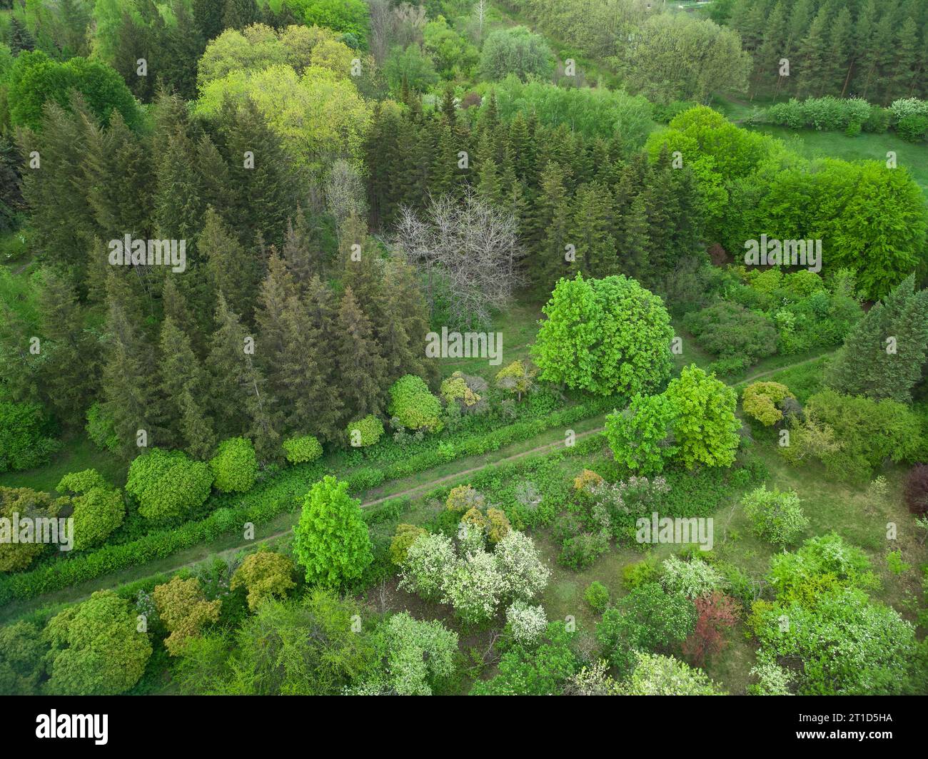 Aerial drone view of a garden with walkways different trees and green ...