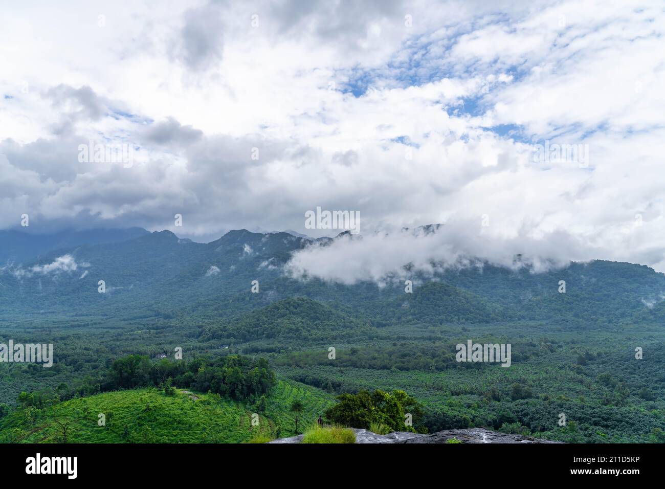 Kurishu Paara is a mountain located in Edivanna village around 15 km ...