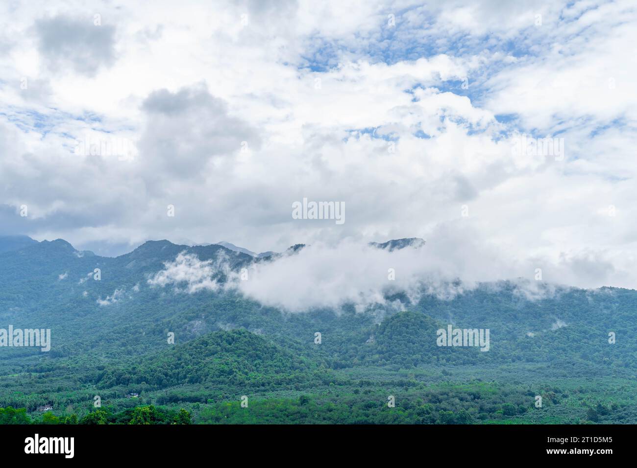 Kurishu Paara is a mountain located in Edivanna village around 15 km ...