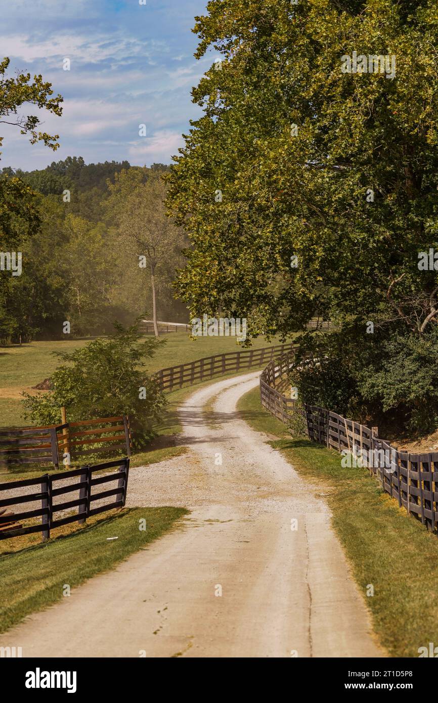 Dusty driveway on the farm during summer Stock Photo - Alamy
