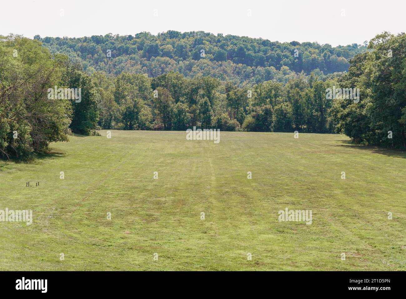 Large trees and greenery hi-res stock photography and images - Alamy