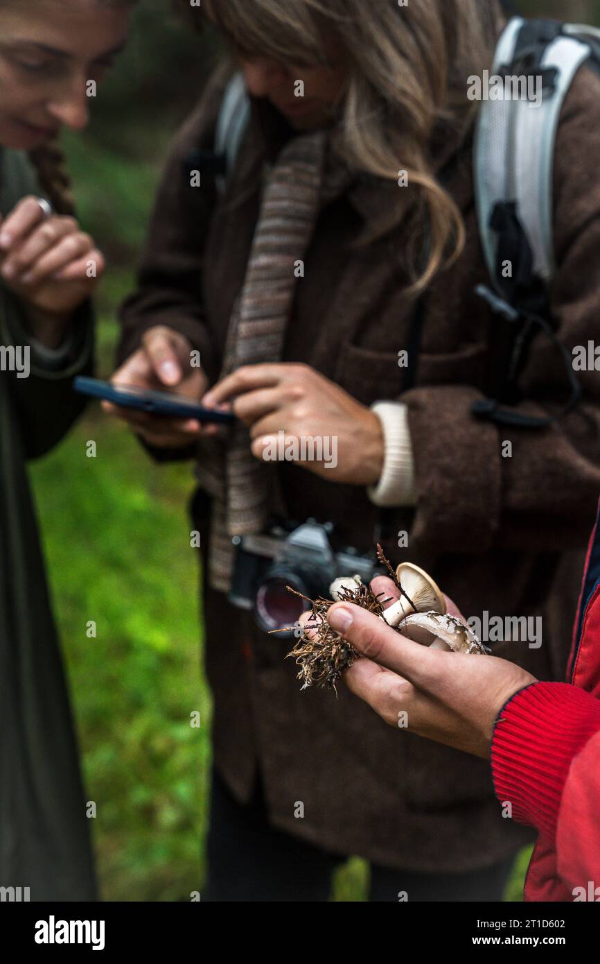 Foragers Using Technology To Identify Mushrooms In Scandinavia Stock ...