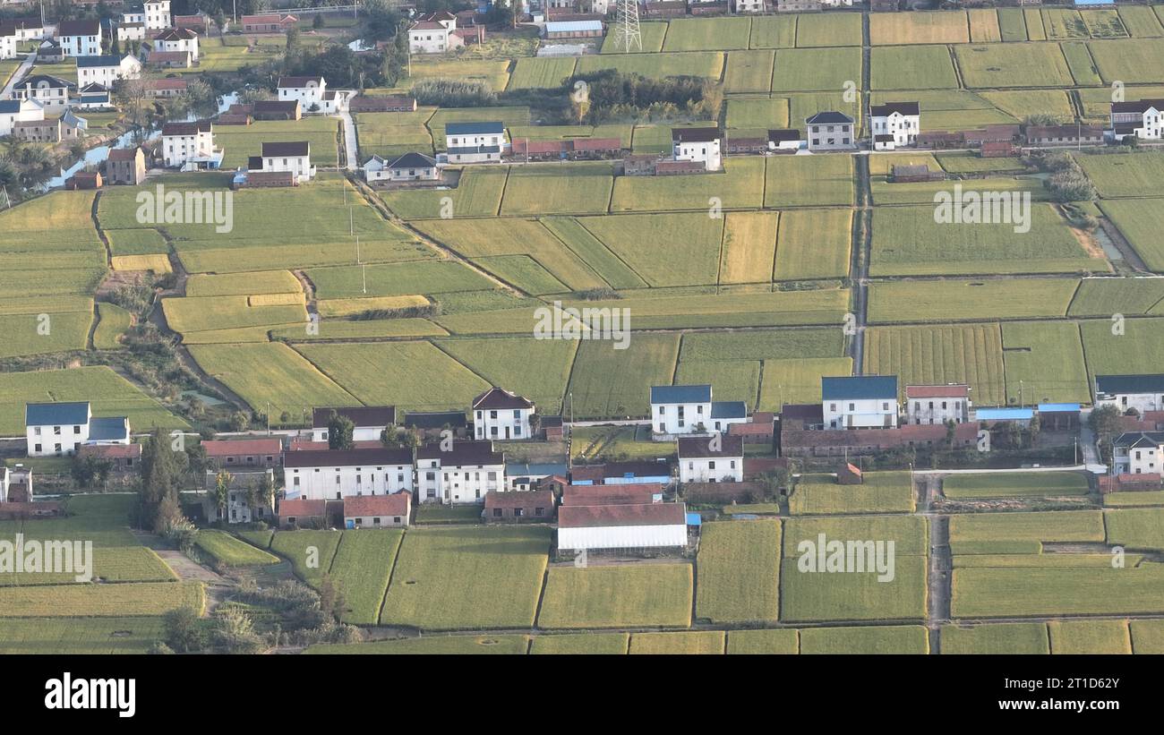 Aerial photo shows the large paddy fields in Fengli Town, Rudong County ...