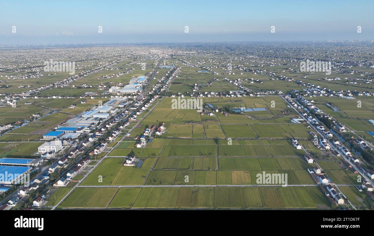 Aerial photo shows the large paddy fields in Fengli Town, Rudong County ...
