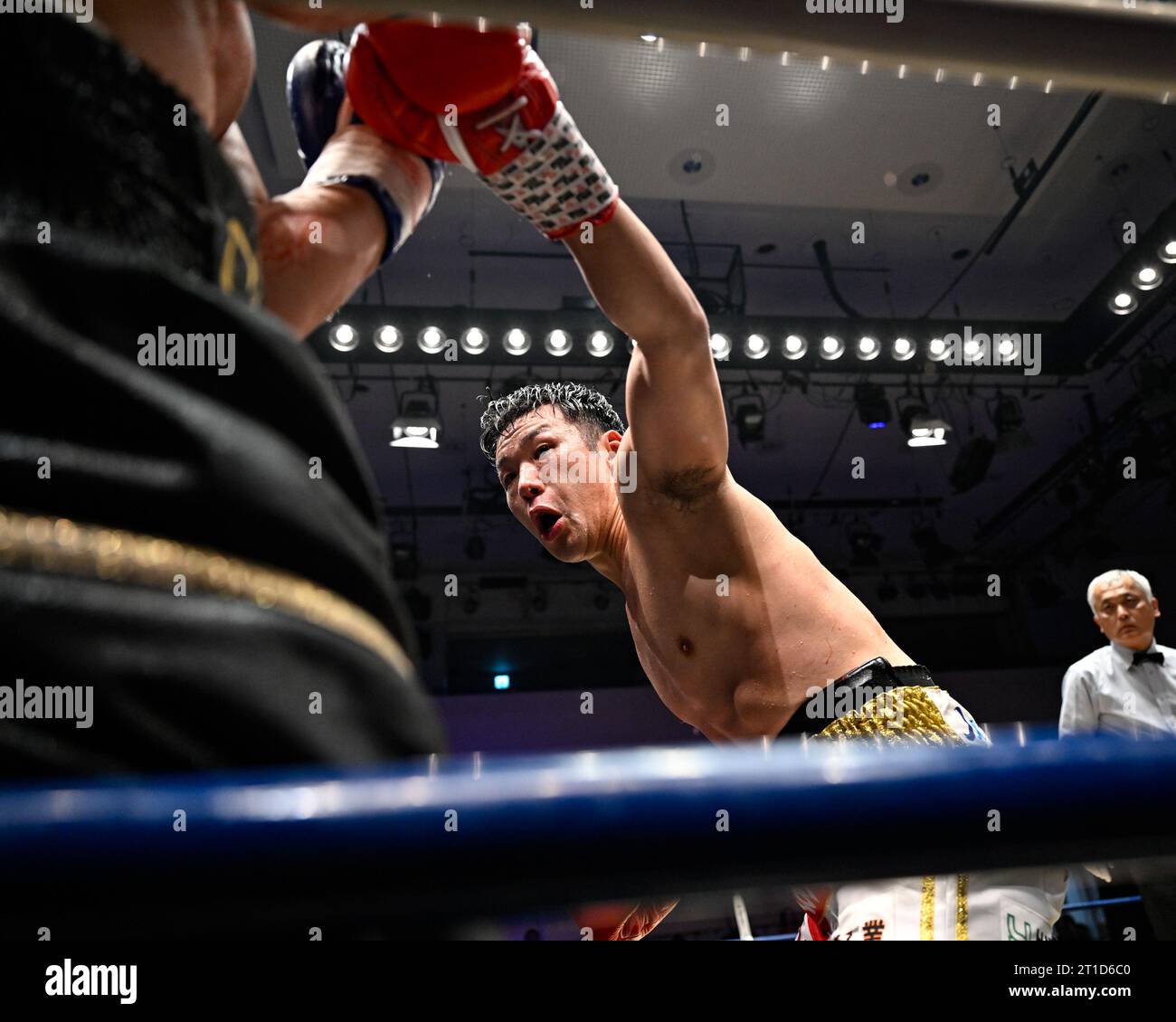 Japan's Kazuto Takesako (red gloves) throws a left at South Korea's Ma ...