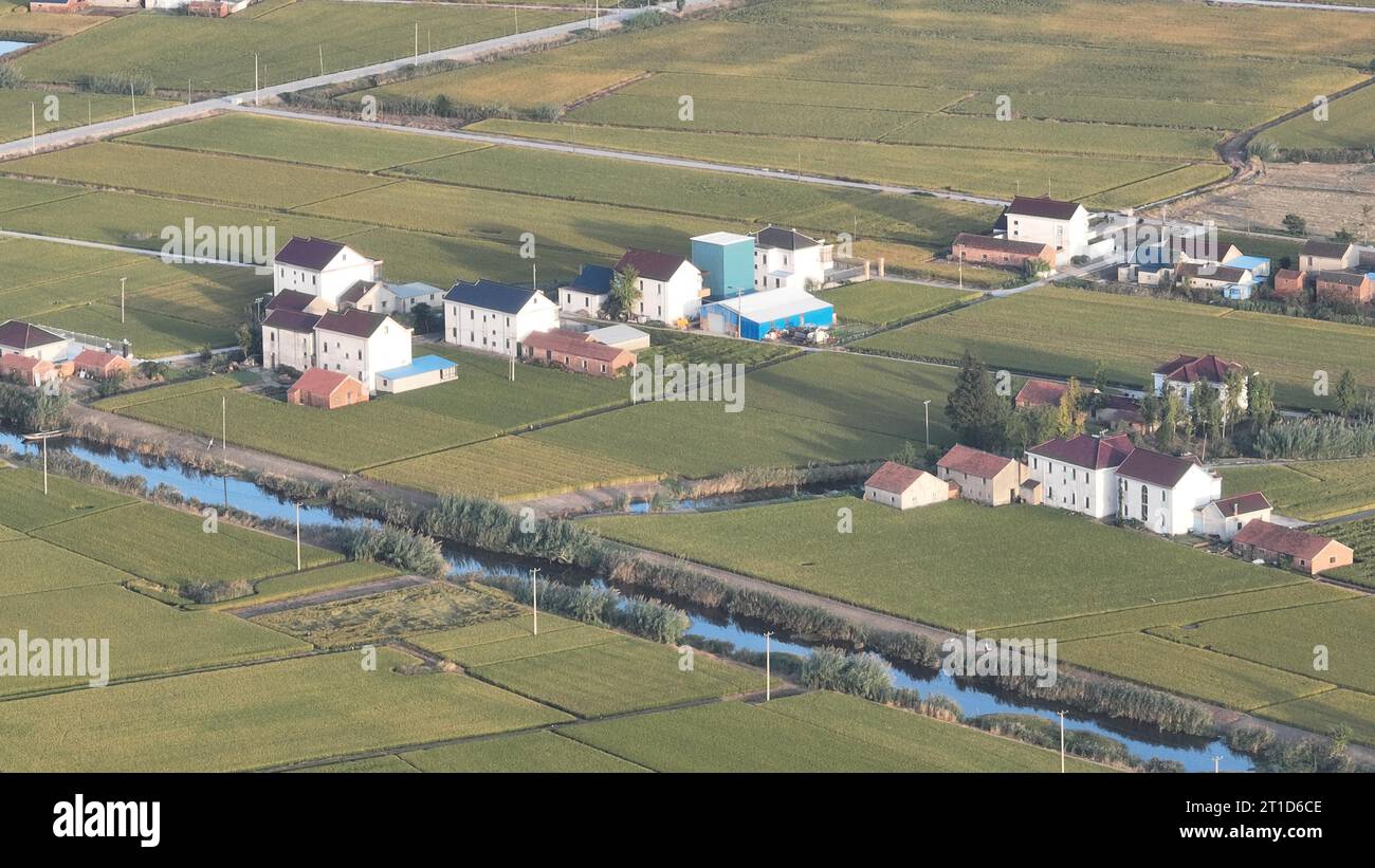 Aerial photo shows the large paddy fields in Fengli Town, Rudong County ...