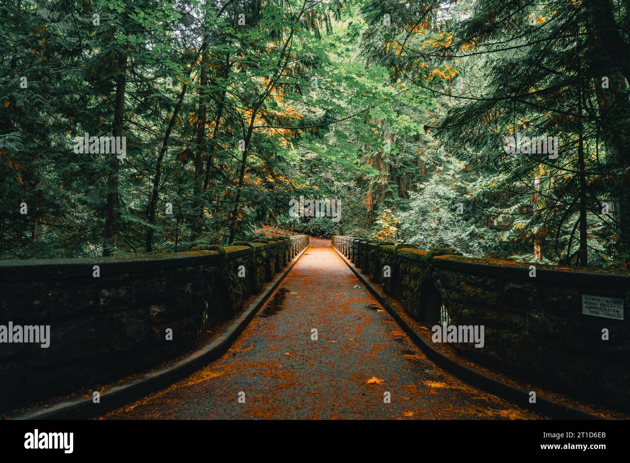 Whatcom falls hi-res stock photography and images - Alamy