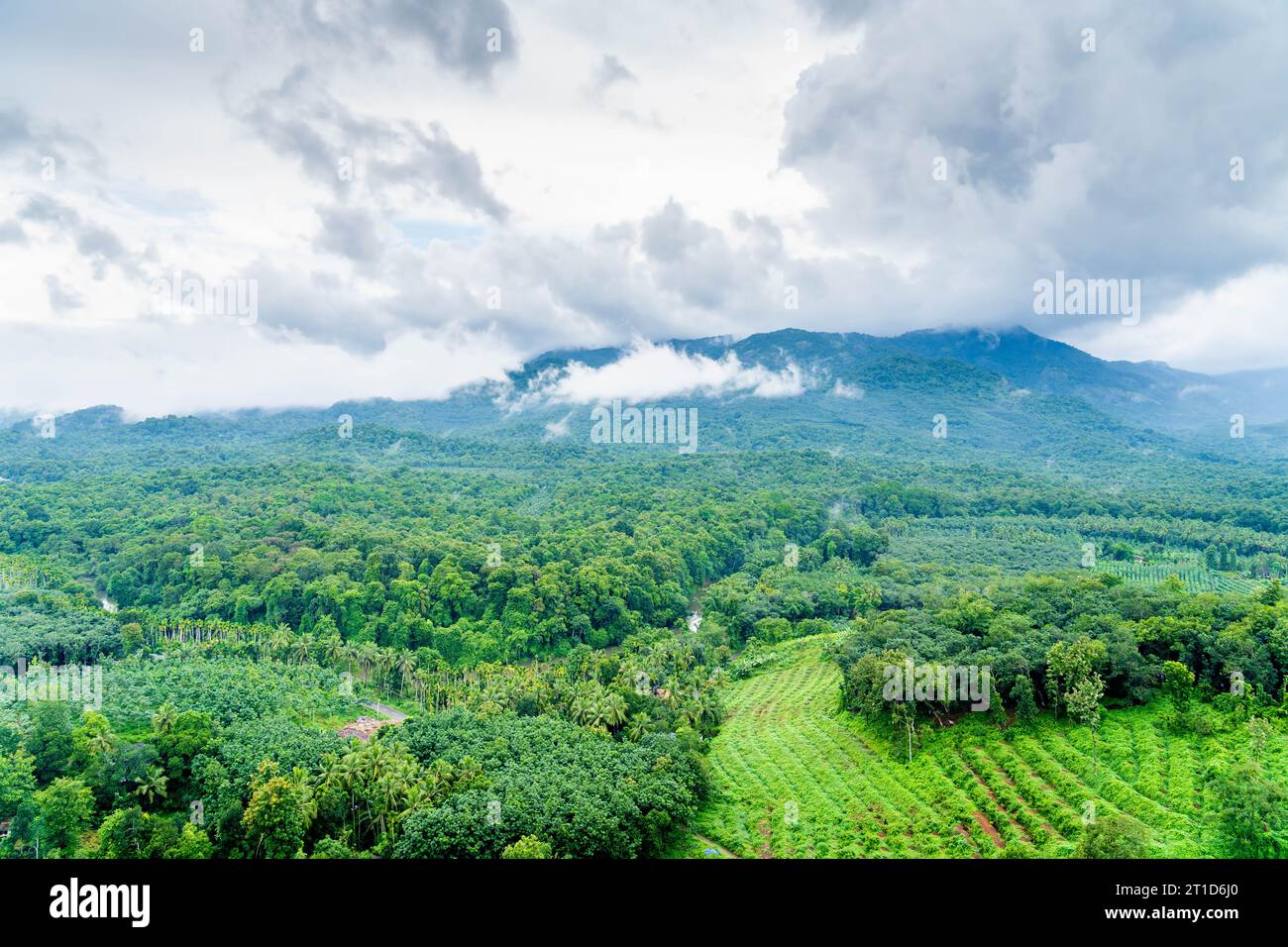 Kurishu Paara is a mountain located in Edivanna village around 15 km ...