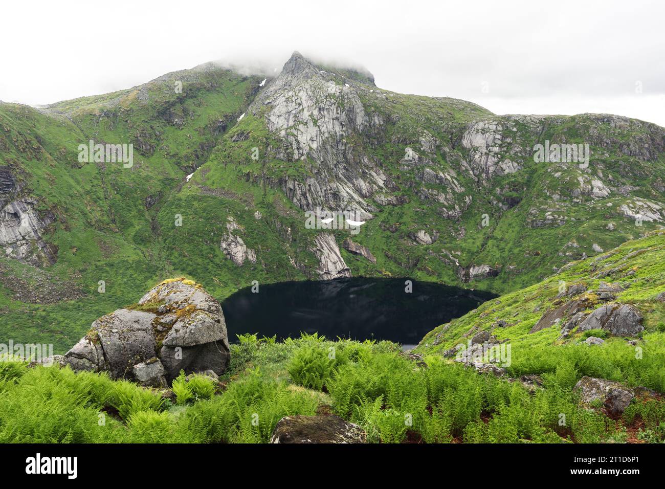 Mountain lake below steep cliffs and green ferns Stock Photo - Alamy
