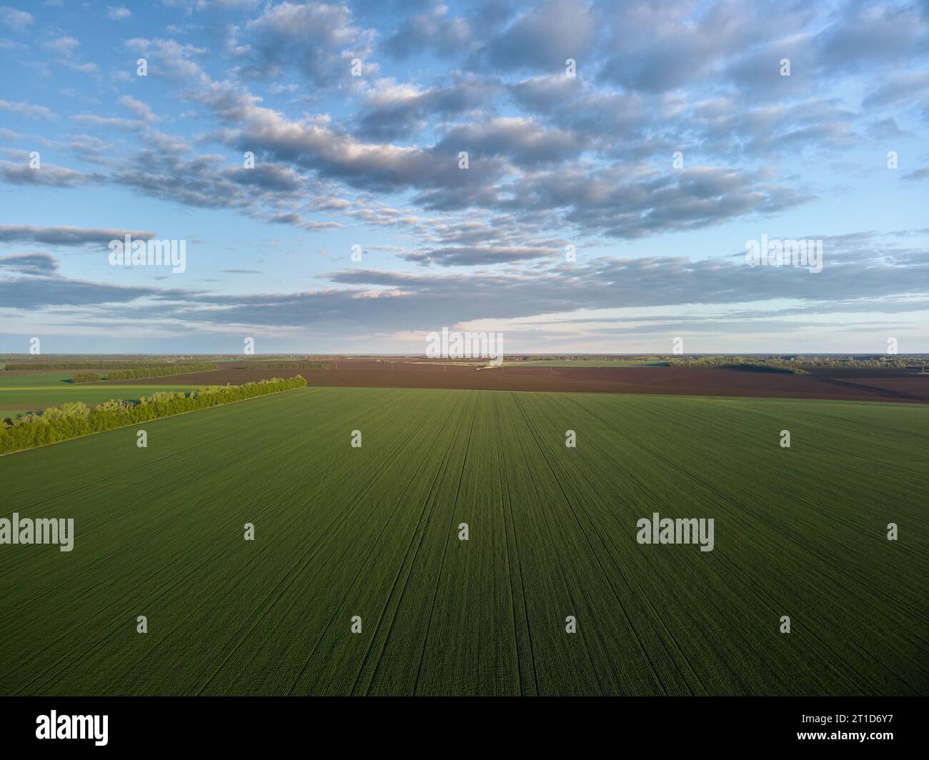 Aerial top view early spring hi-res stock photography and images - Alamy