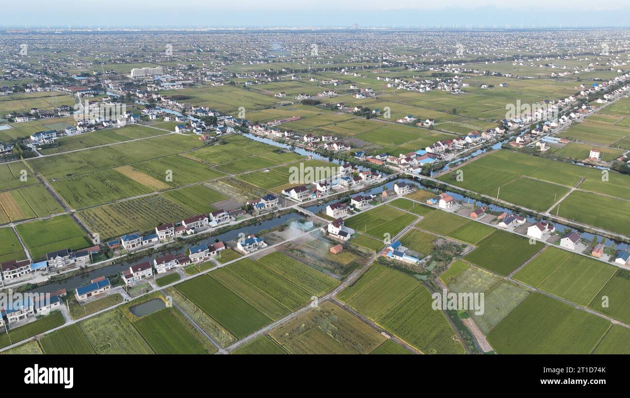 Aerial photo shows the large paddy fields in Fengli Town, Rudong County ...