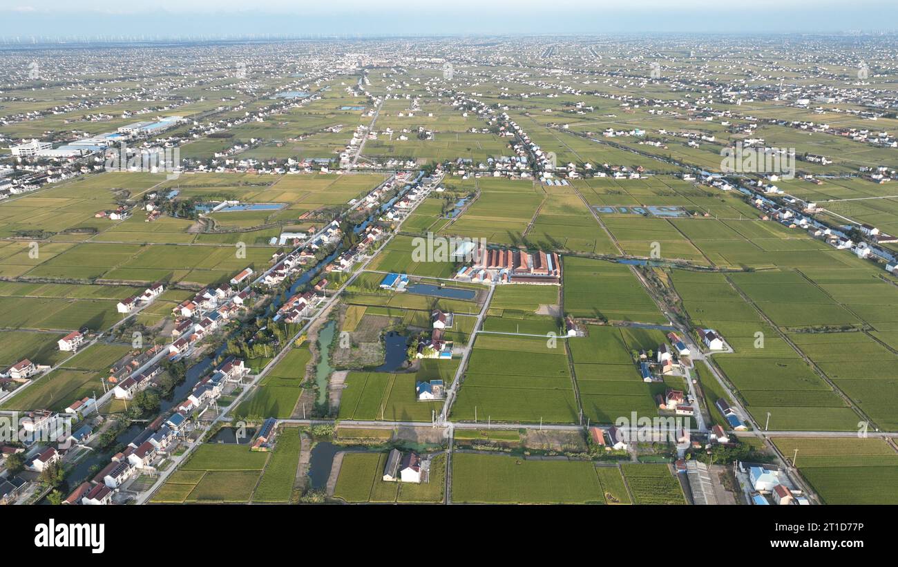 Aerial photo shows the large paddy fields in Fengli Town, Rudong County ...