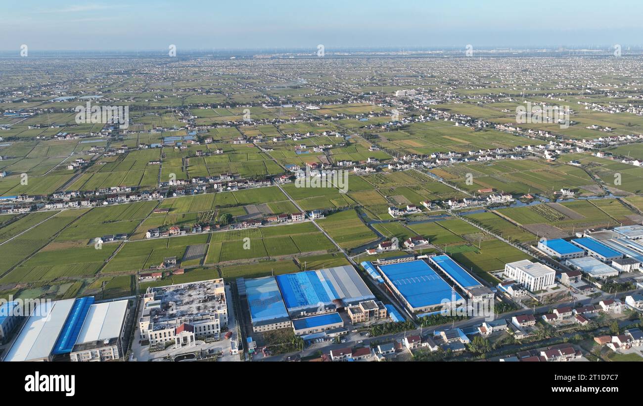Aerial photo shows the large paddy fields in Fengli Town, Rudong County ...