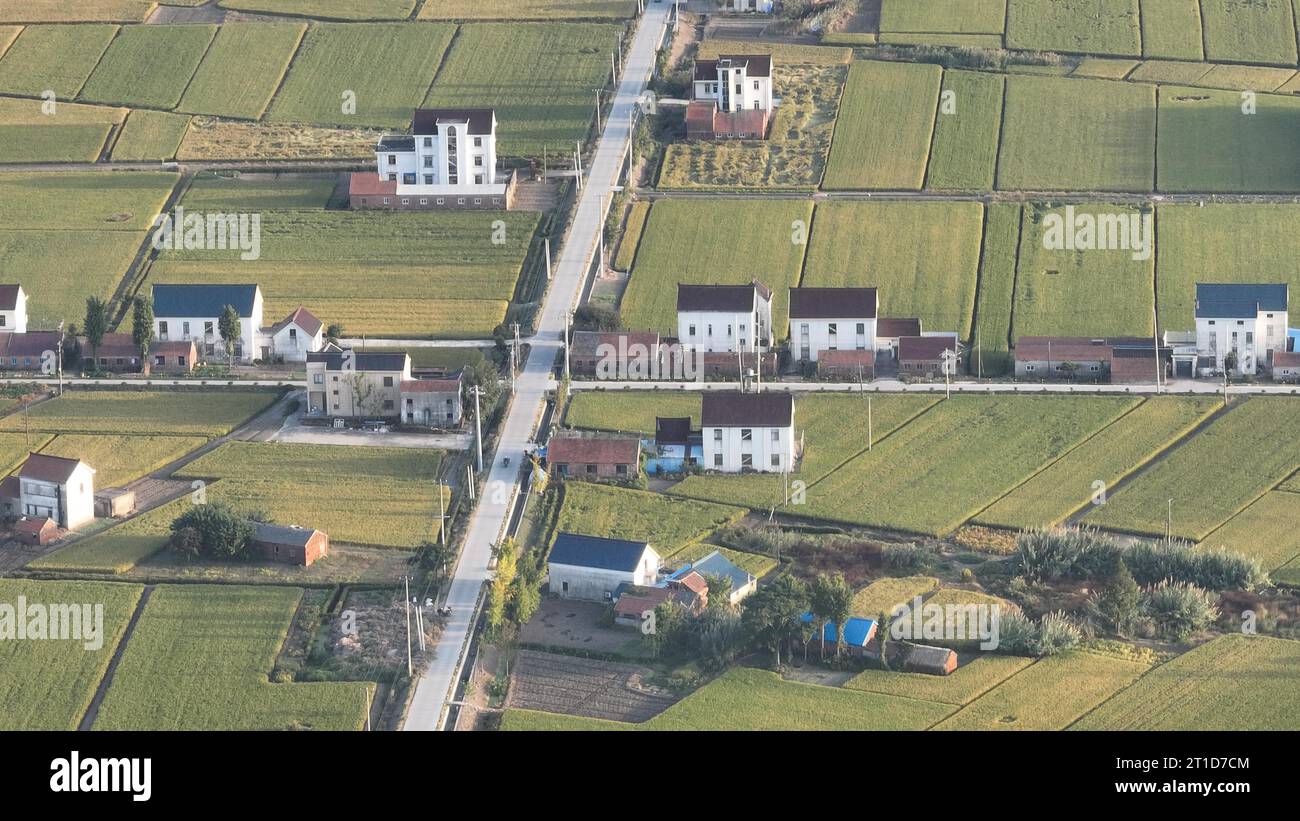 Aerial photo shows the large paddy fields in Fengli Town, Rudong County ...