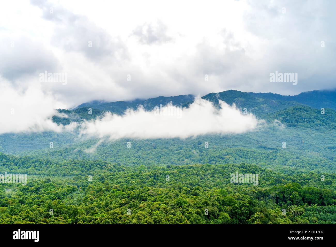 Kurishu Paara is a mountain located in Edivanna village around 15 km ...
