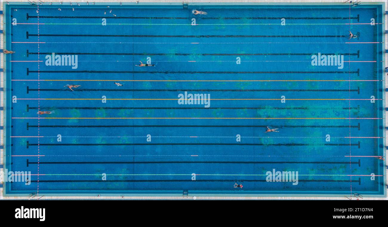 Aerial top view of group of swimmers training in swimming pool. Many ...