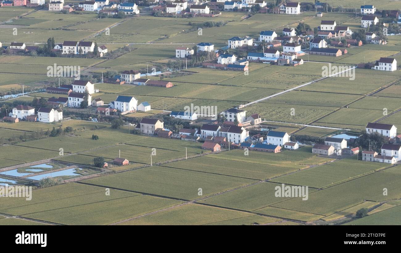 Aerial photo shows the large paddy fields in Fengli Town, Rudong County ...