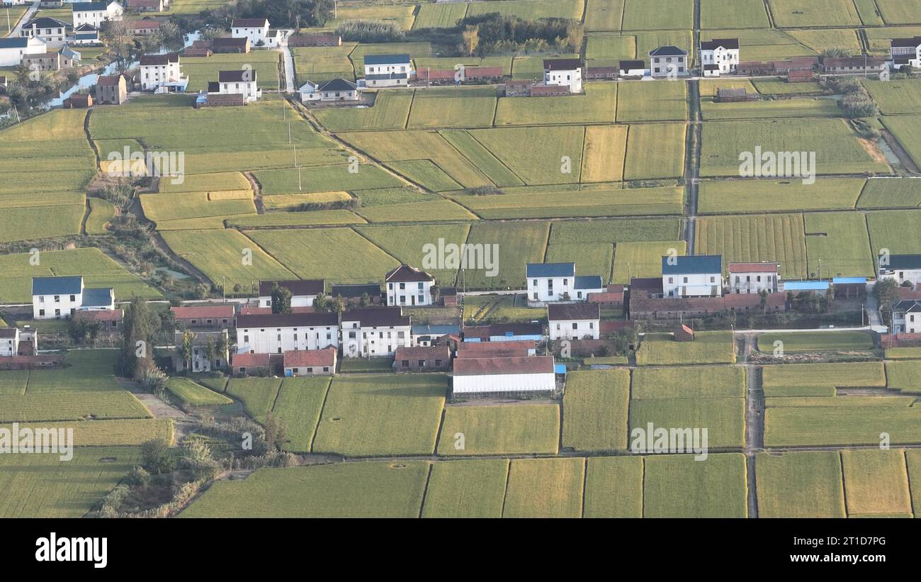 Aerial photo shows the large paddy fields in Fengli Town, Rudong County ...