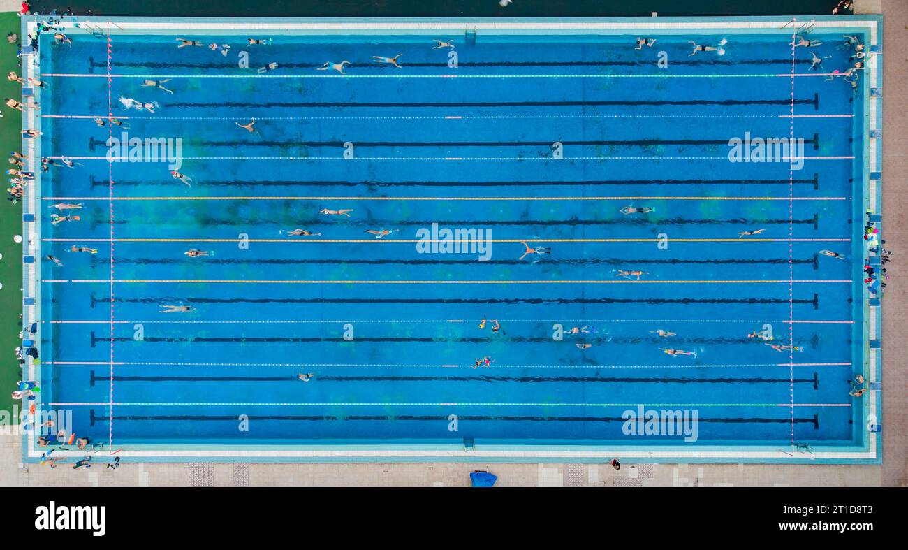 Aerial top view of group of swimmers training in swimming pool. Many ...