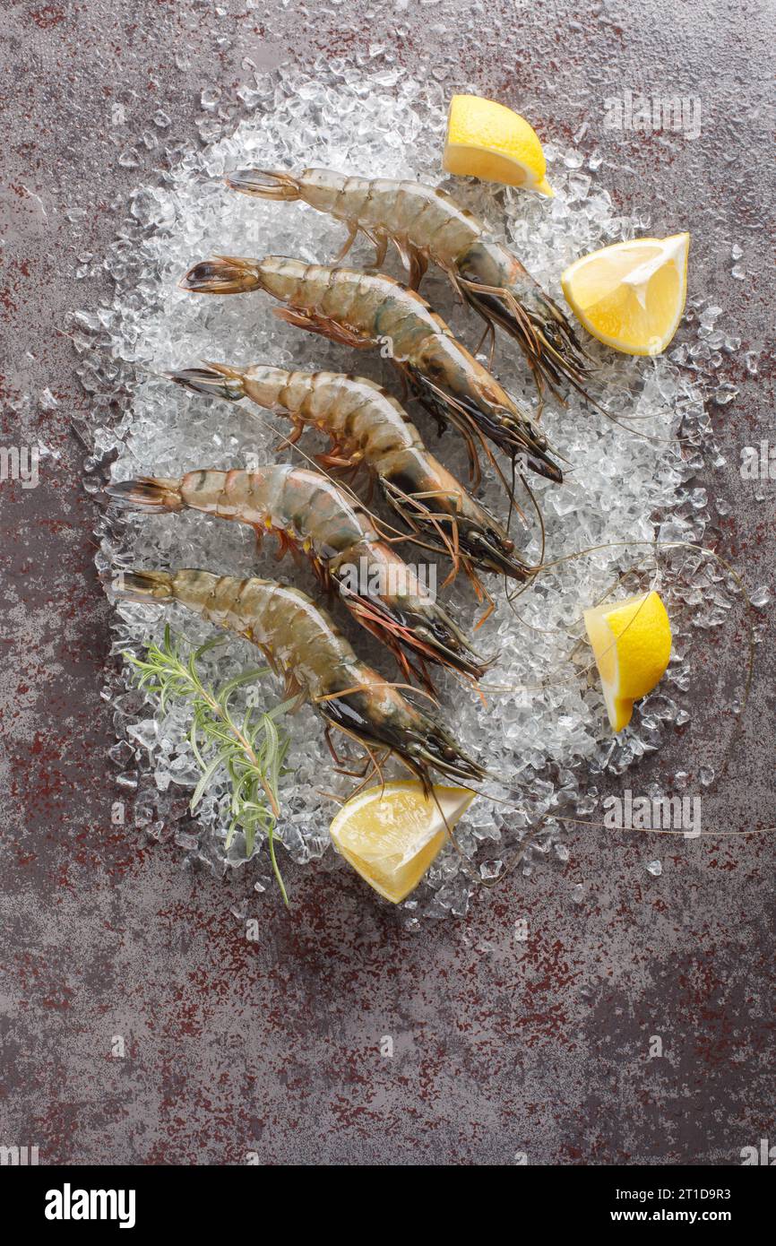 Raw ocean black tiger prawns unpeeled with lemon, herbs closeup on the ...