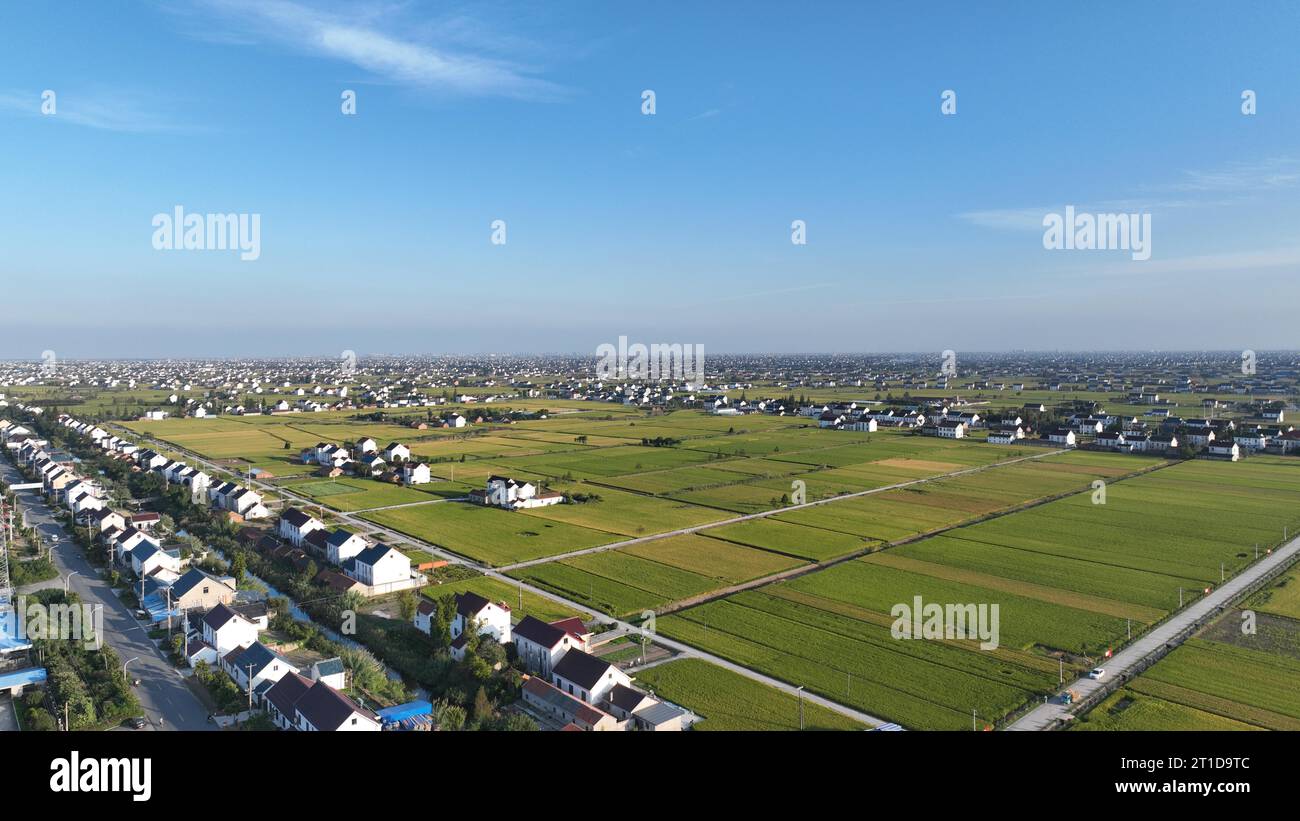 Aerial photo shows the large paddy fields in Fengli Town, Rudong County ...