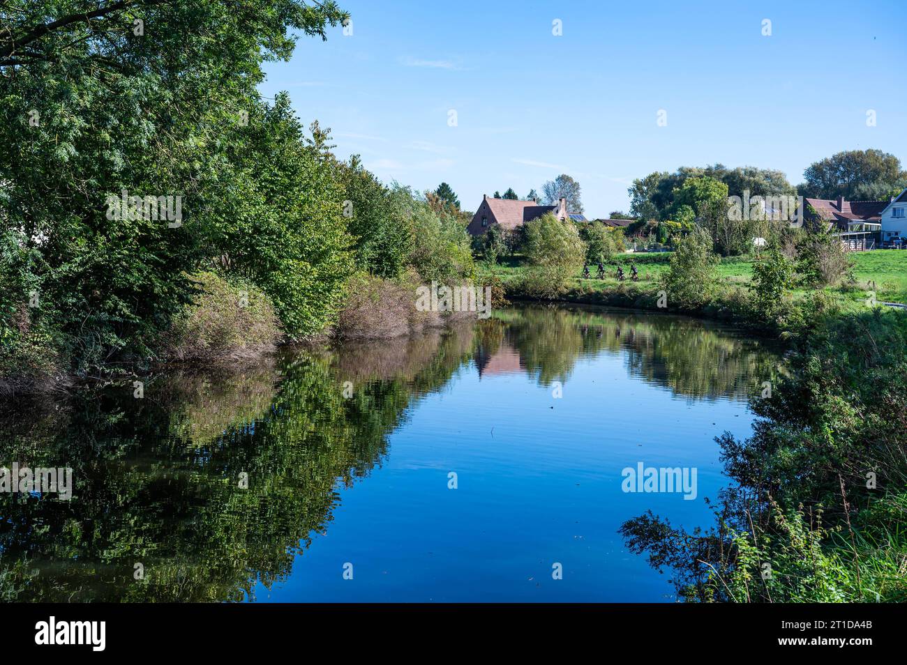 Trees reflecting in the water of the bending river Dender ...