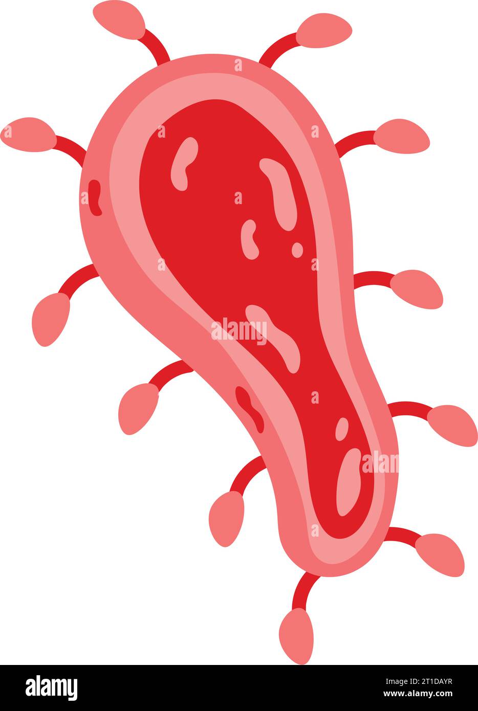 virus nipah pathology Stock Vector Image & Art - Alamy