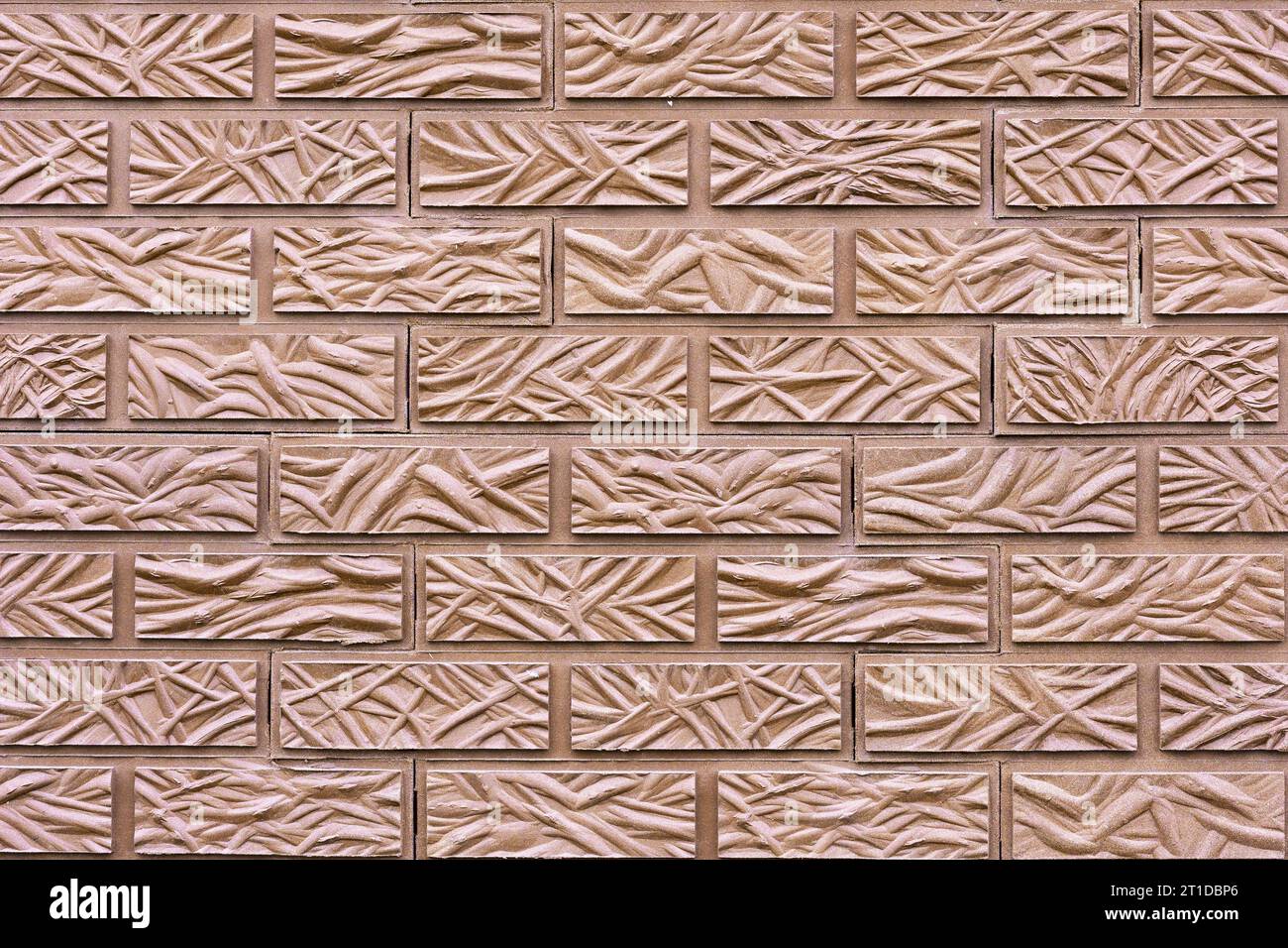 The texture is a brick wall. blossom, color, bloom, flower, coloring ...