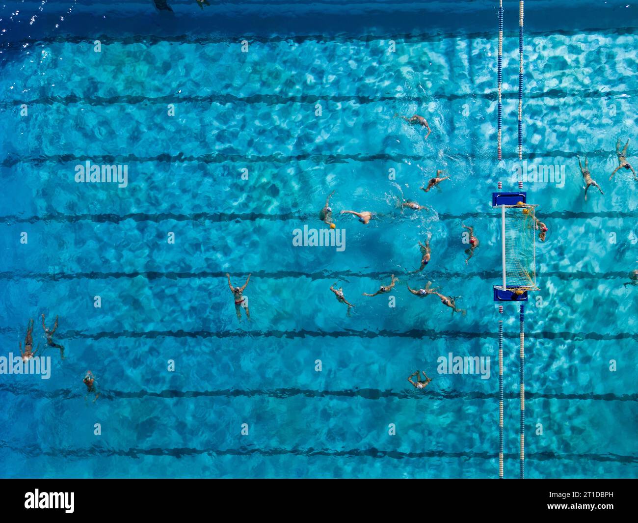 Aerial drone top down view of swimming pool with athletes training ...