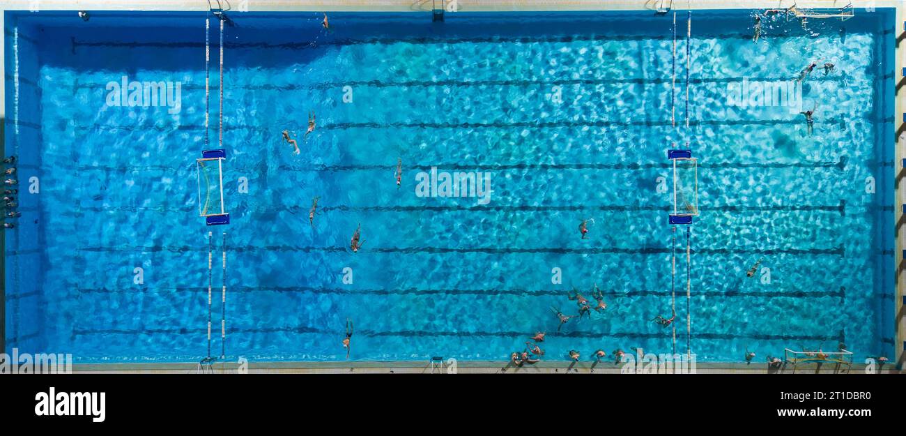 Aerial drone top down view of swimming pool with athletes training ...