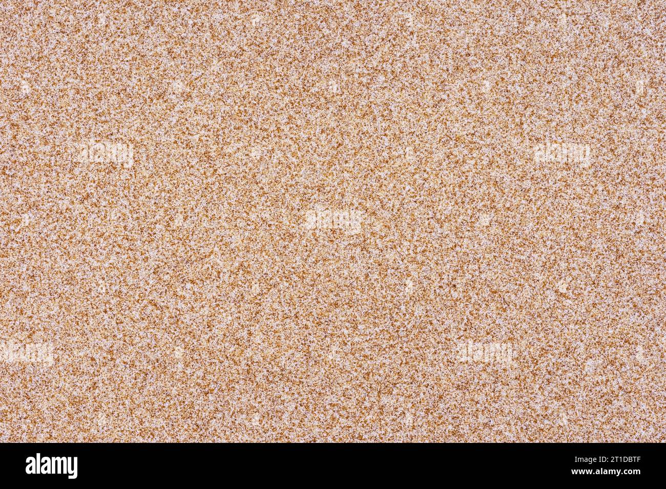 background of disseminated sand small gravel, a stone crumb. Texture of ...