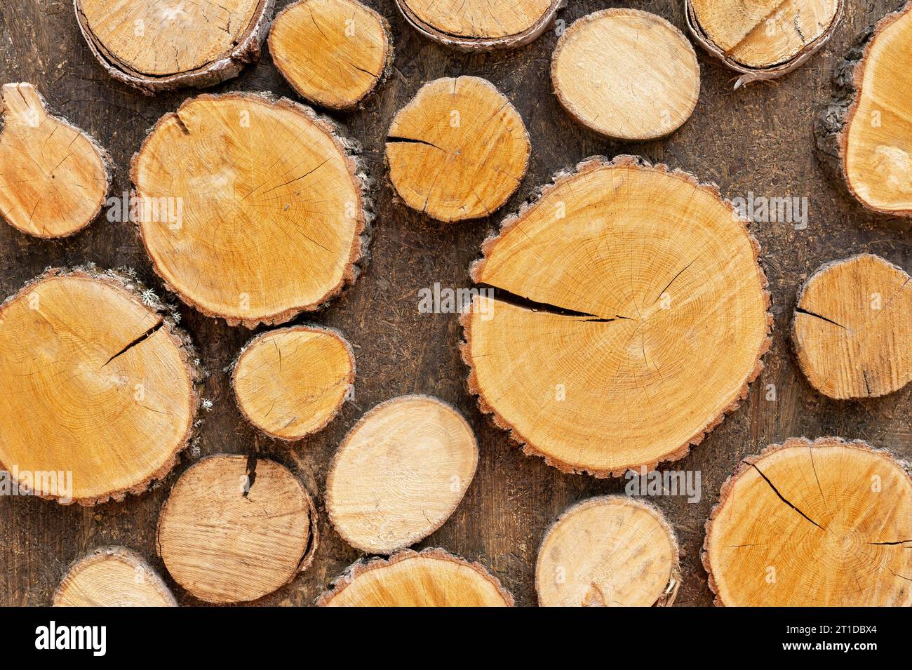 Texture square wooden bars . background of a tree. Wood Texture, Wooden ...