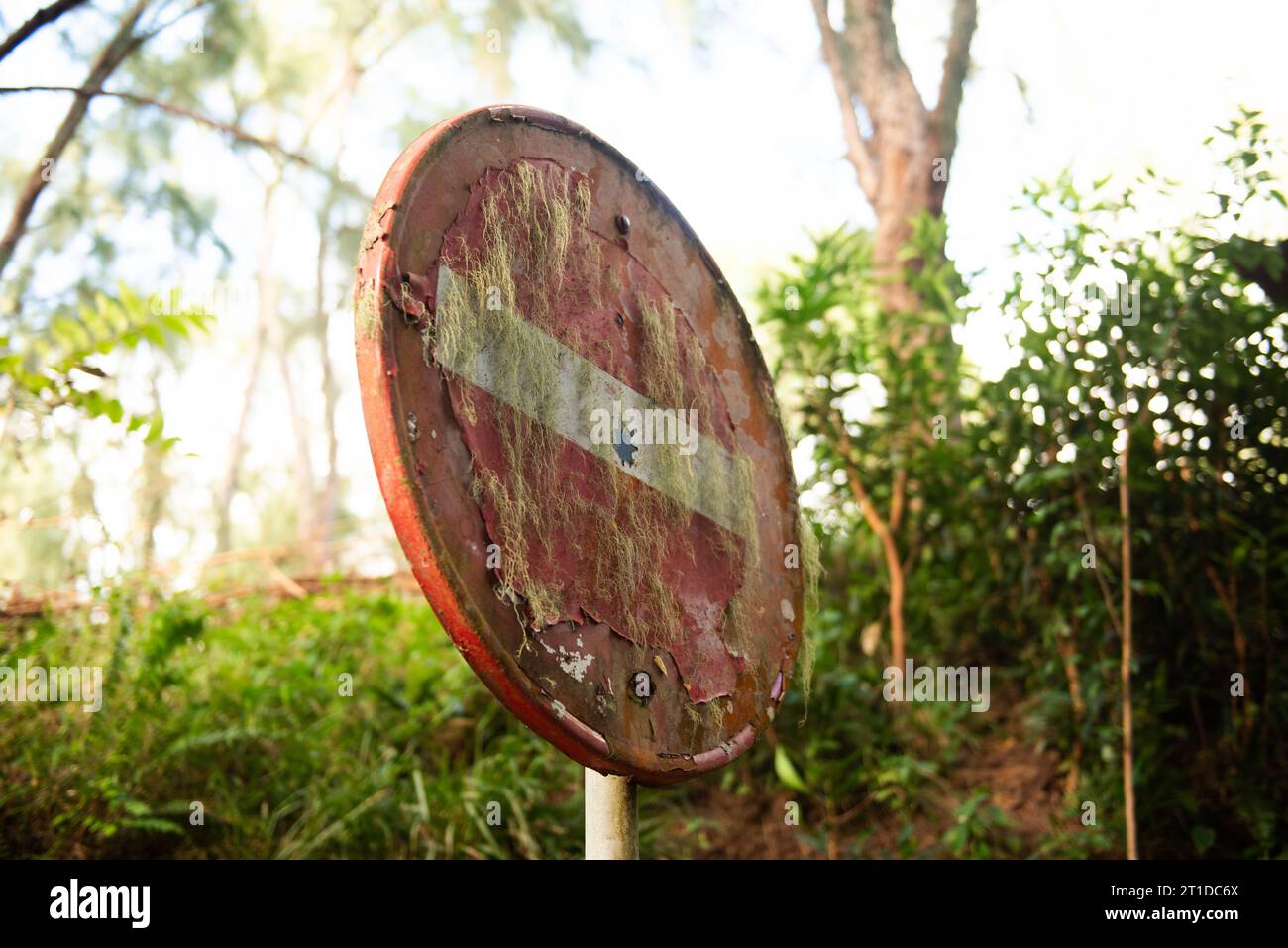 spanish moss on no entry sign post Stock Photo - Alamy