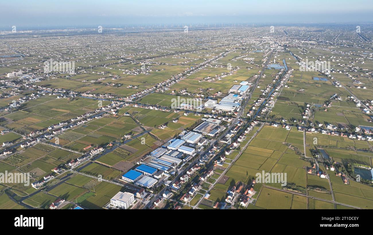 Aerial photo shows the large paddy fields in Fengli Town, Rudong County ...