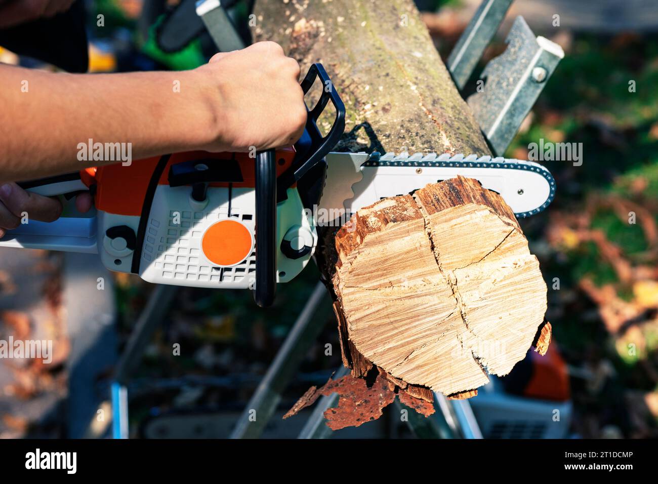 Chainsaw girl hi-res stock photography and images - Alamy